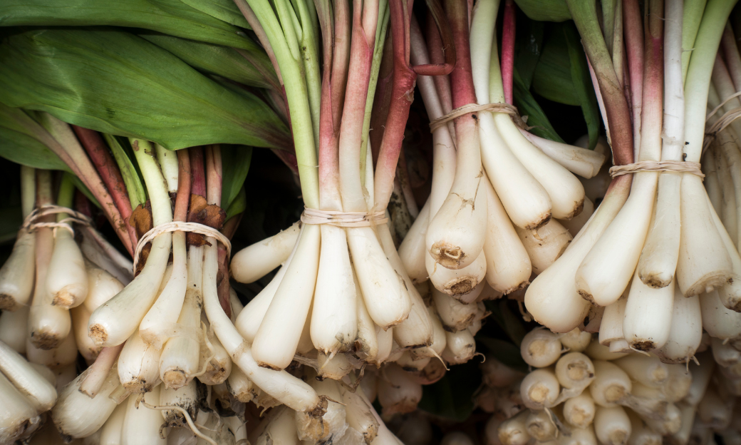 Cancer-Fighting Foods: Nutritional Guide | Cancer Wellness Center